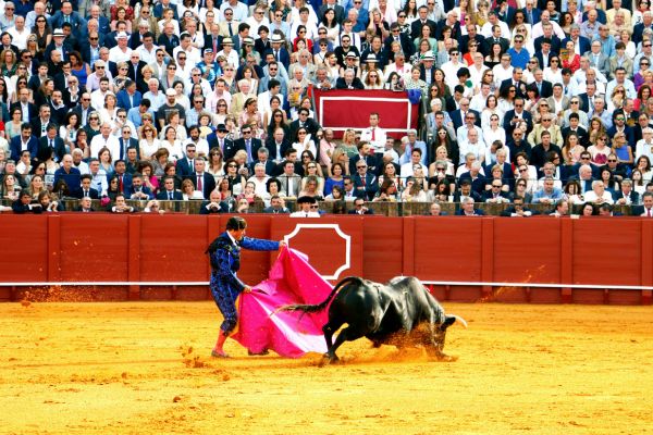 El impacto de los toros en la cultura española y su evolución - Madrid ...